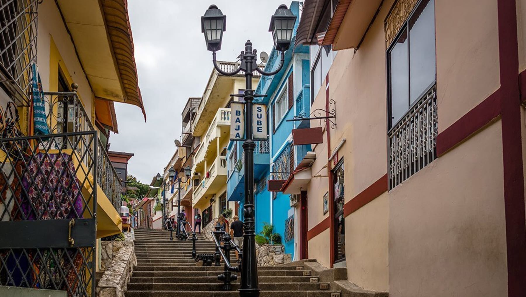 Aves Travels | Ecuador | 8 day luxury yacht expidition along the coast